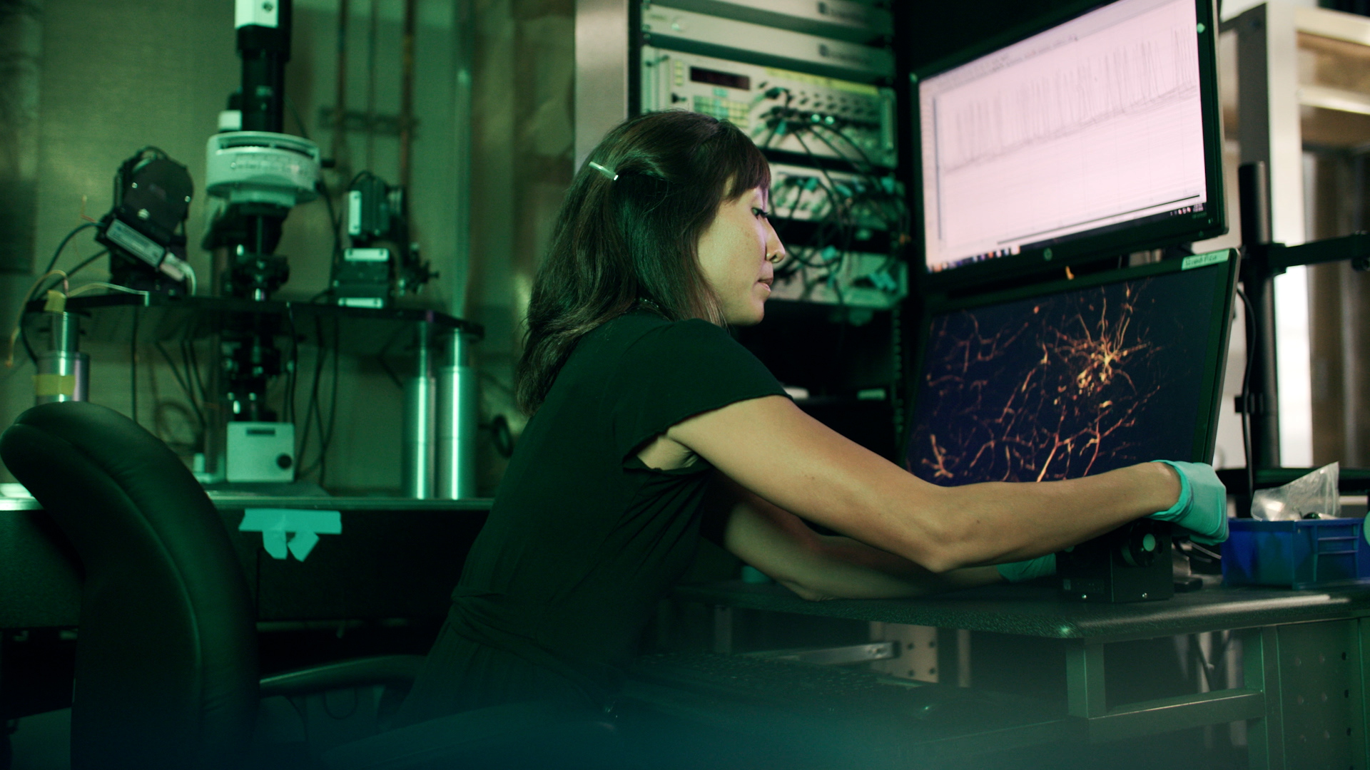 How the Brain Gives Rise to the Mind - NYAS