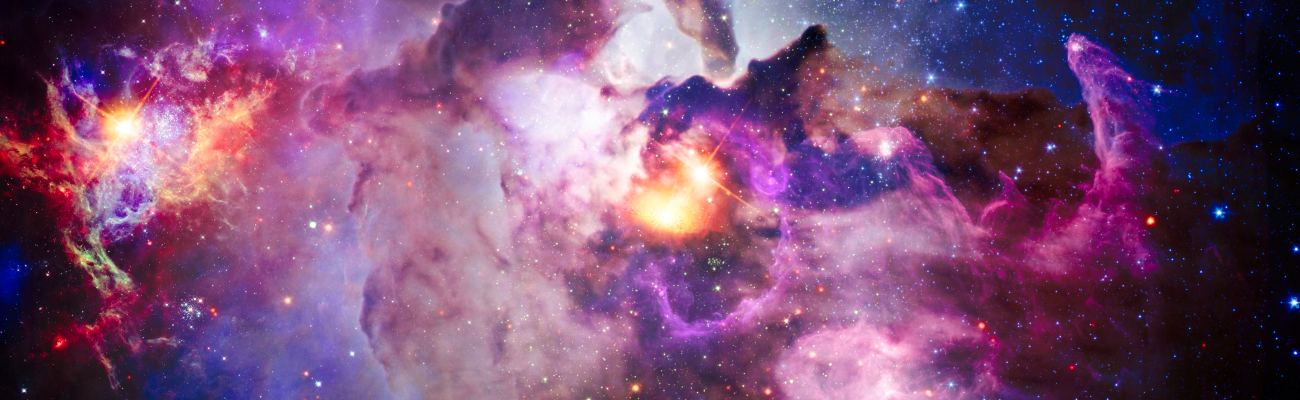 The Anthropic View of the Universe - NYAS