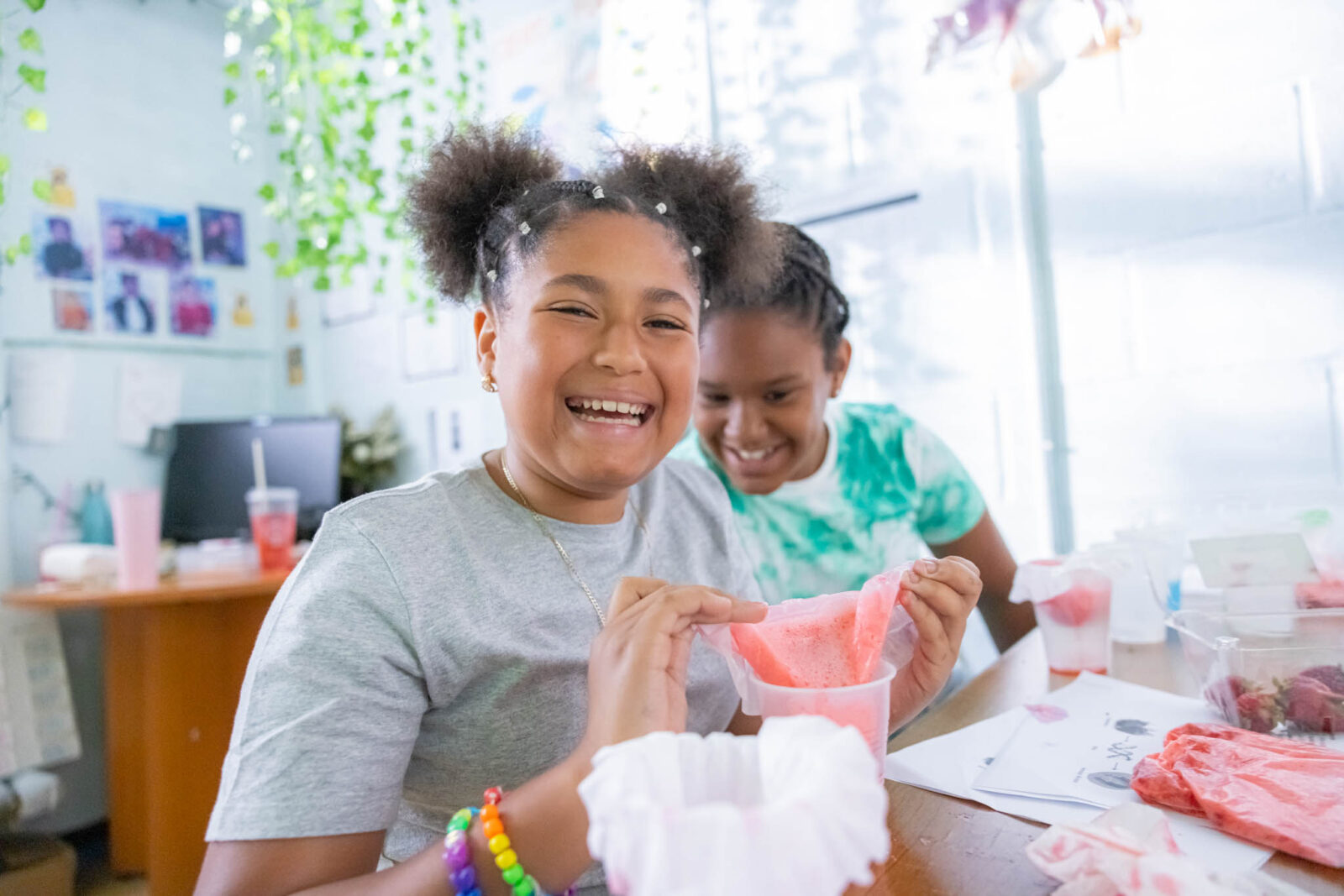 Afterschool STEM Mentoring Program - NYAS